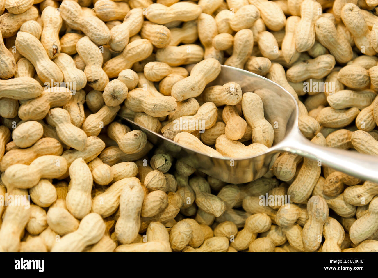 Peanuts (Arachis hypogaea) with scoop, Wuppertal, North Rhine ...