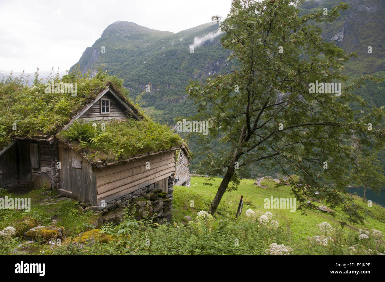 Skagefla farm hi-res stock photography and images - Alamy