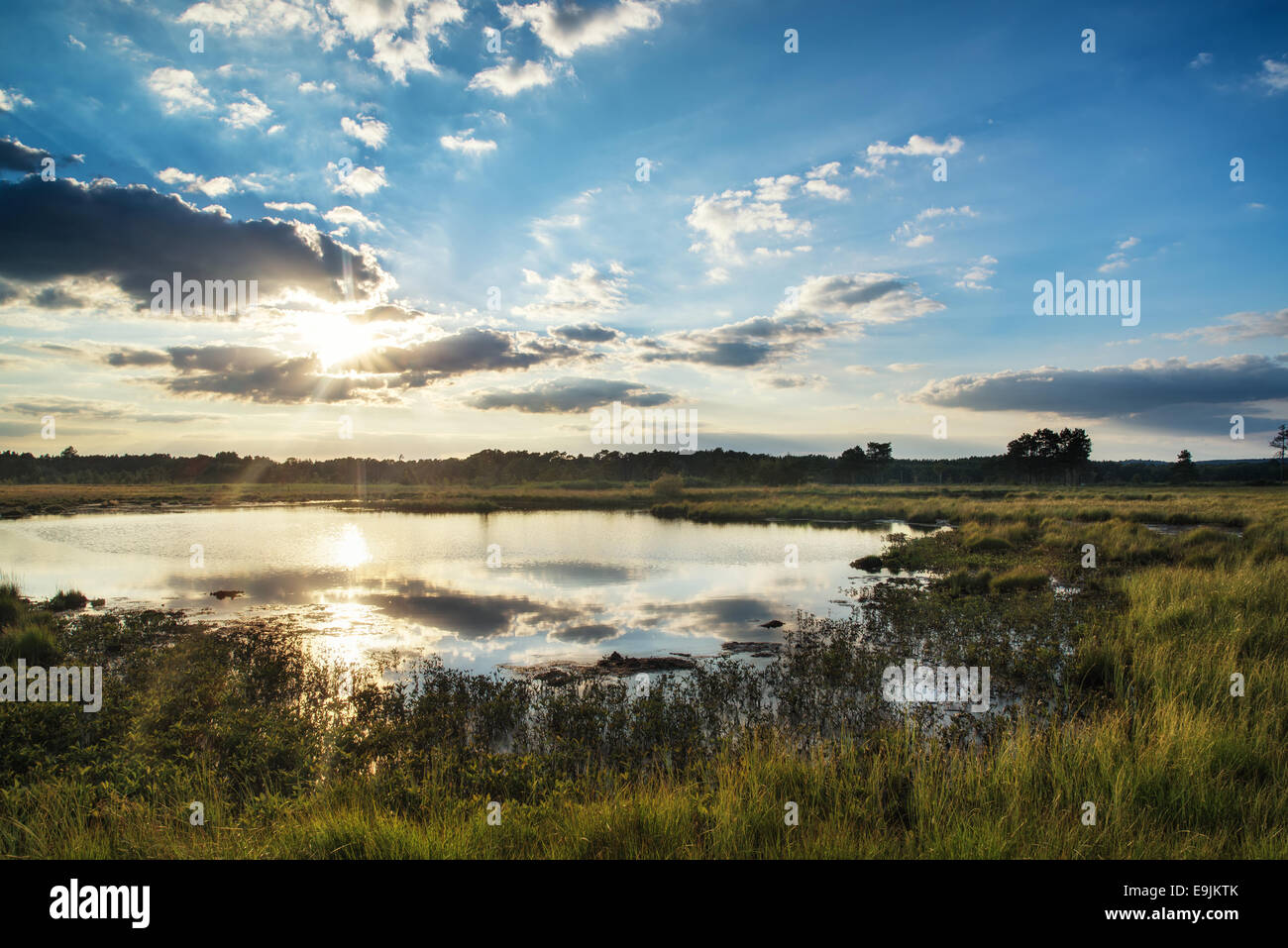 Sunset landscape over wetlands in Summer Stock Photo - Alamy