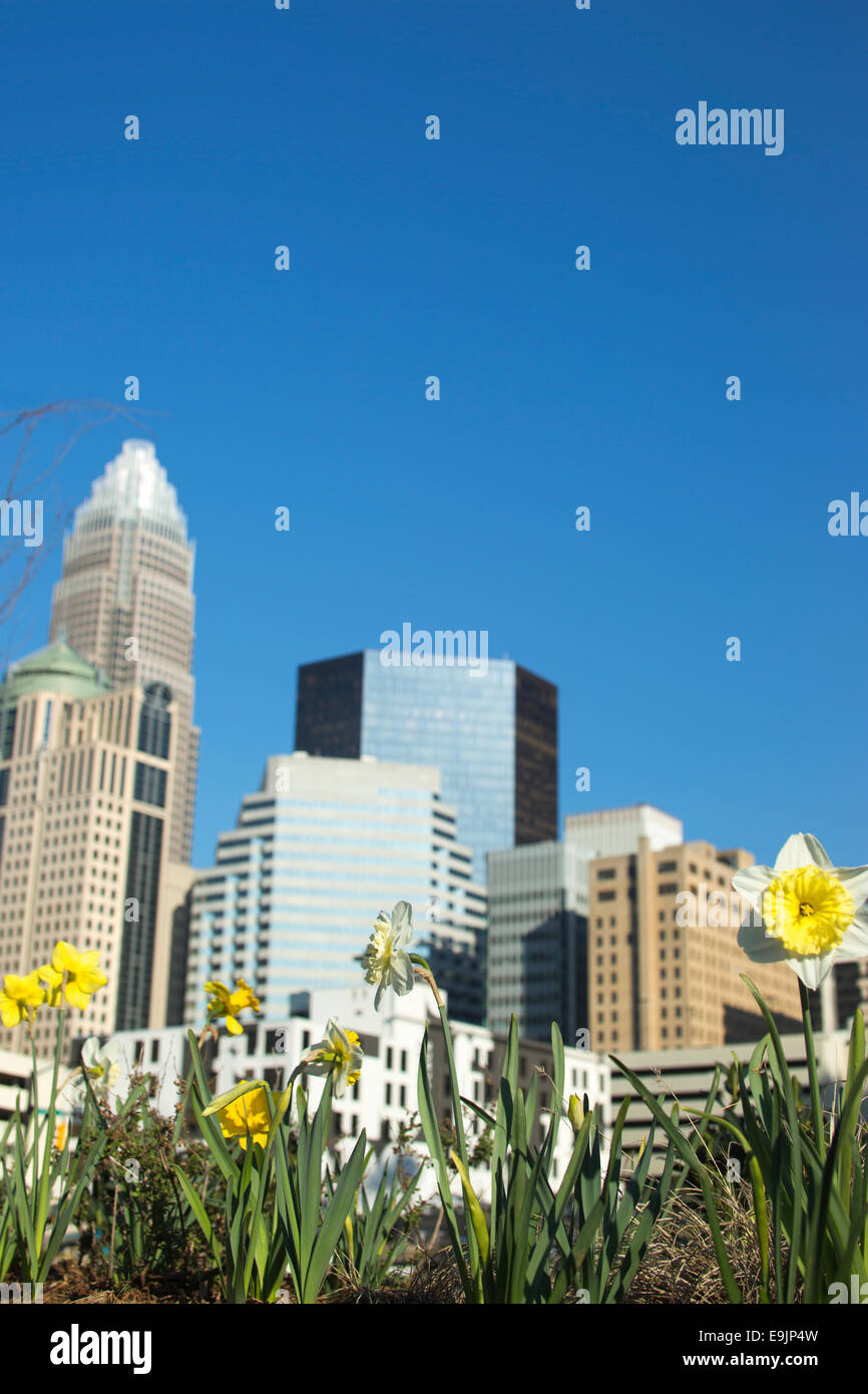 Charlotte downtown hi-res stock photography and images - Alamy