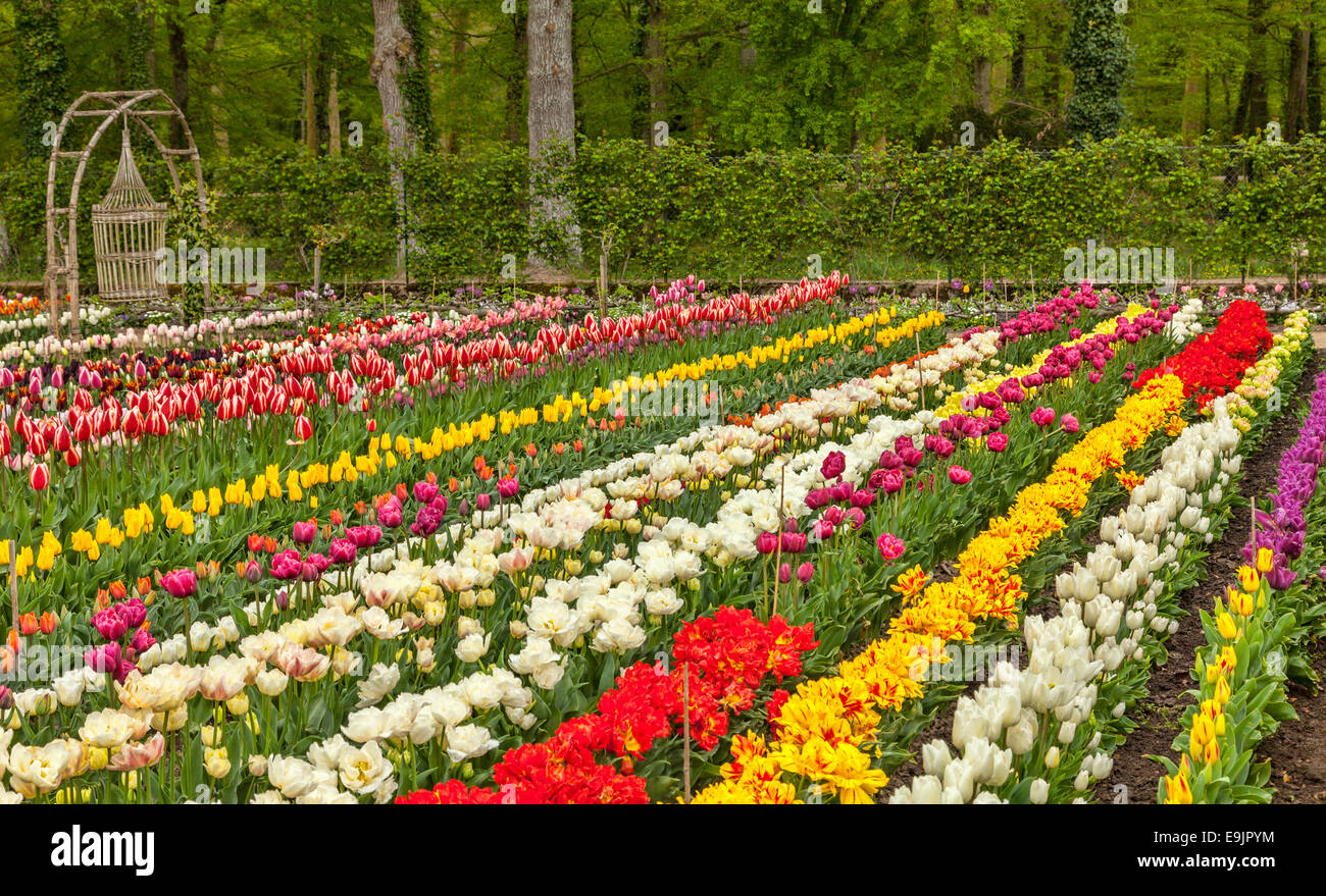Wooden cage hi-res stock photography and images - Alamy