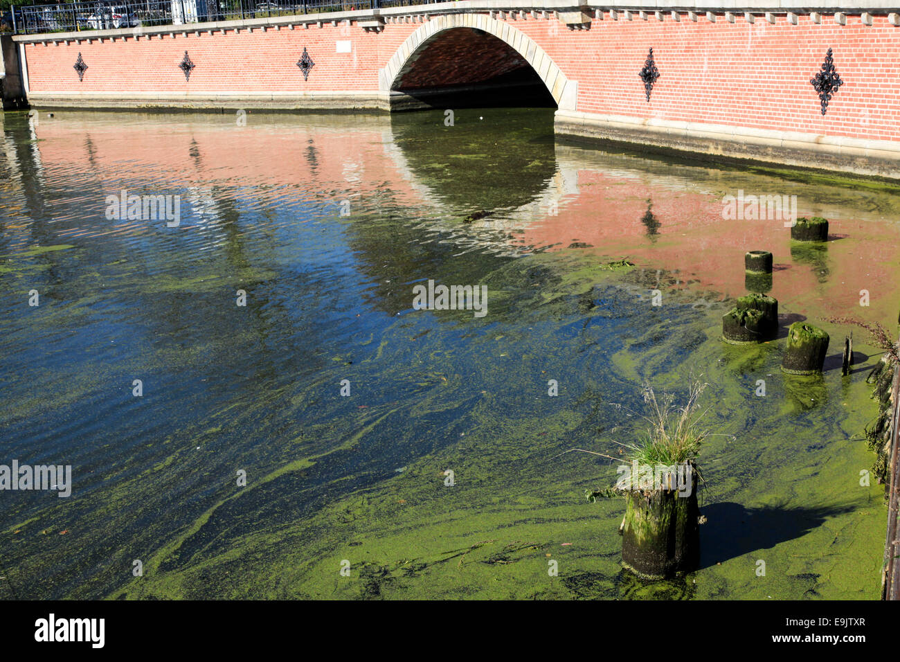 Stagnant Water Stock Photos & Stagnant Water Stock Images - Alamy