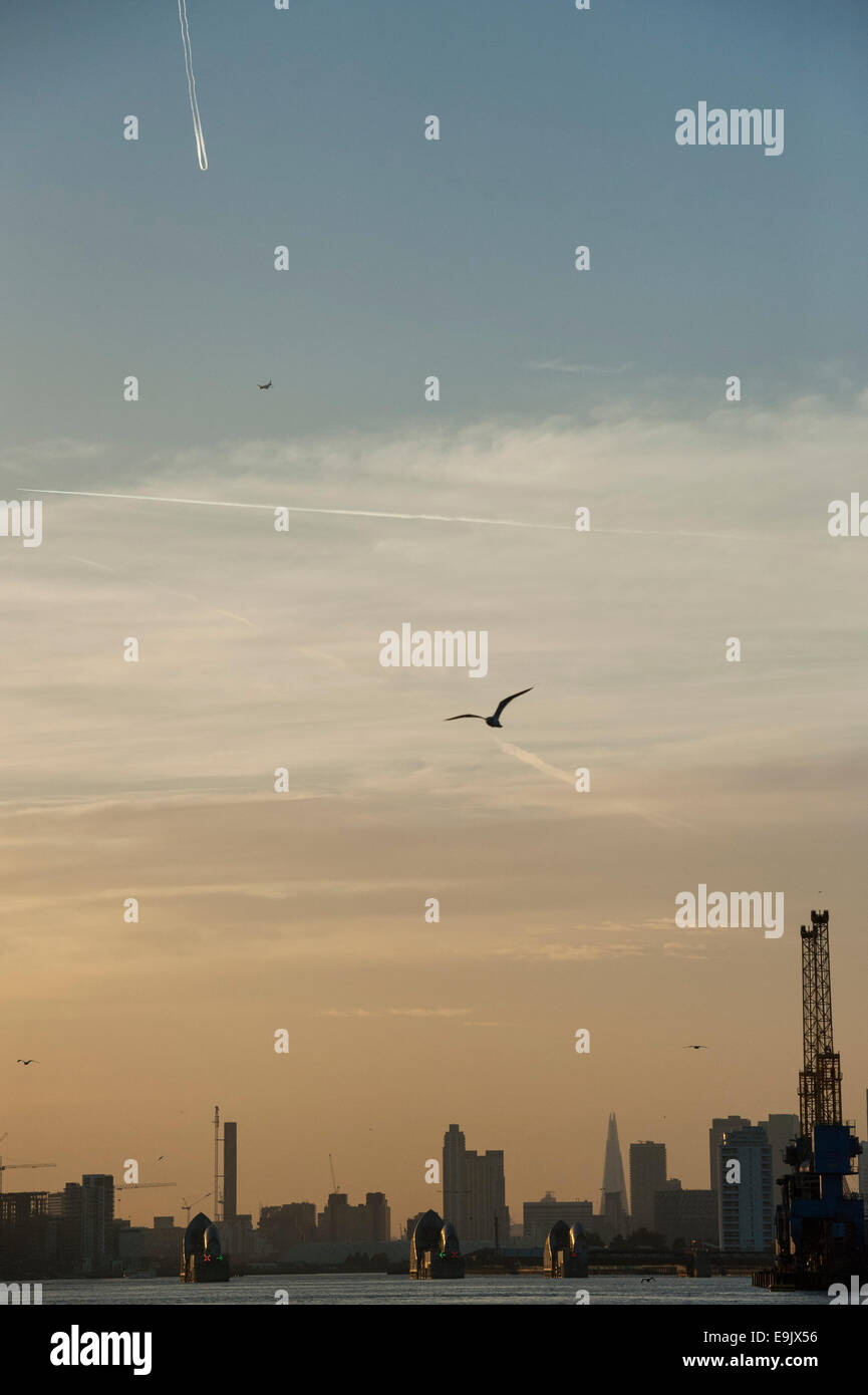 Woolwich ferry canary wharf hi-res stock photography and images - Alamy