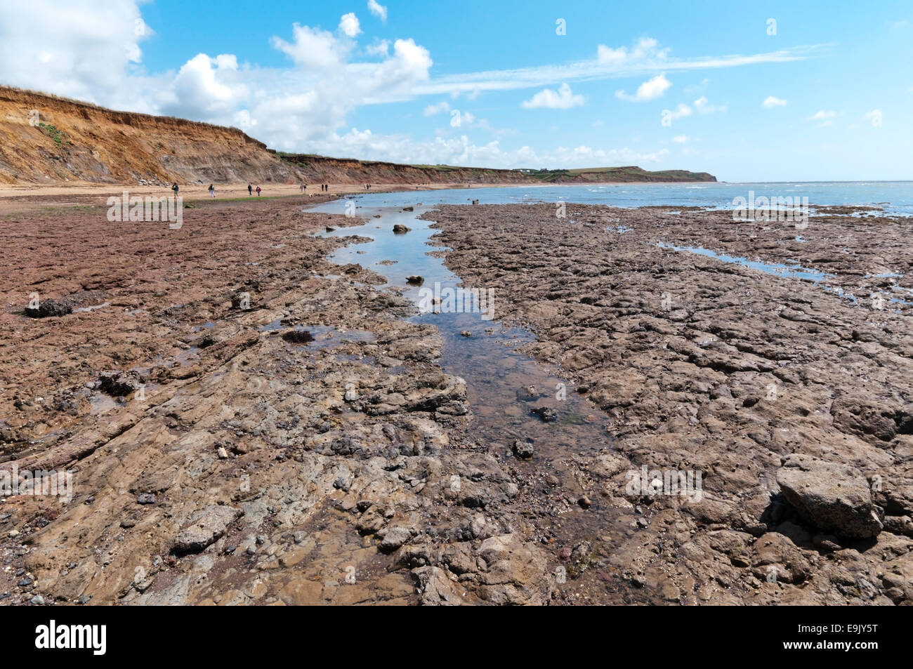 Wave cut platform hi-res stock photography and images - Alamy