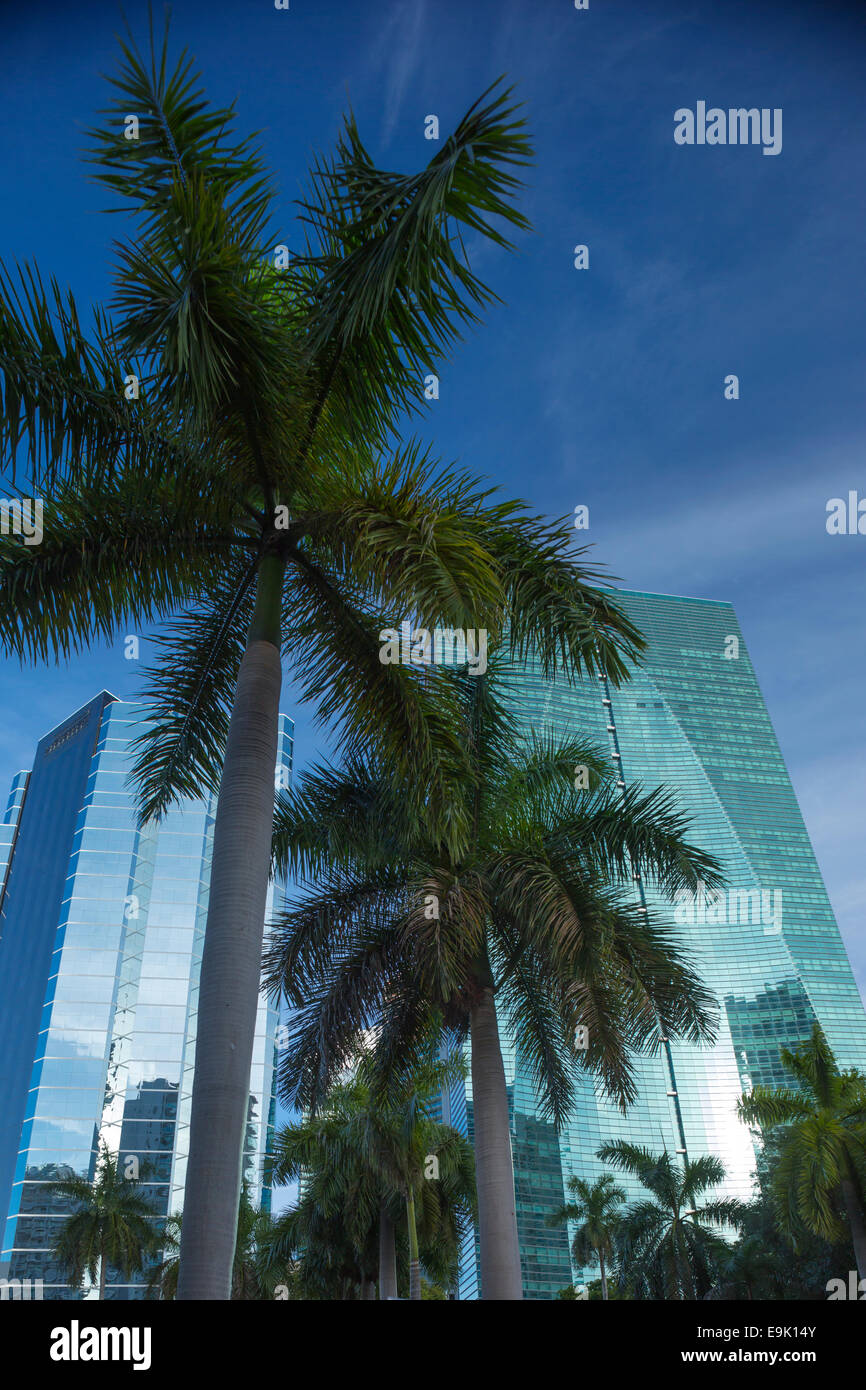 PALM TREES ESPIRITO SANTO ARCH PLAZA BUILDING (©KOHN PEDERSEN FOX 2004 ...