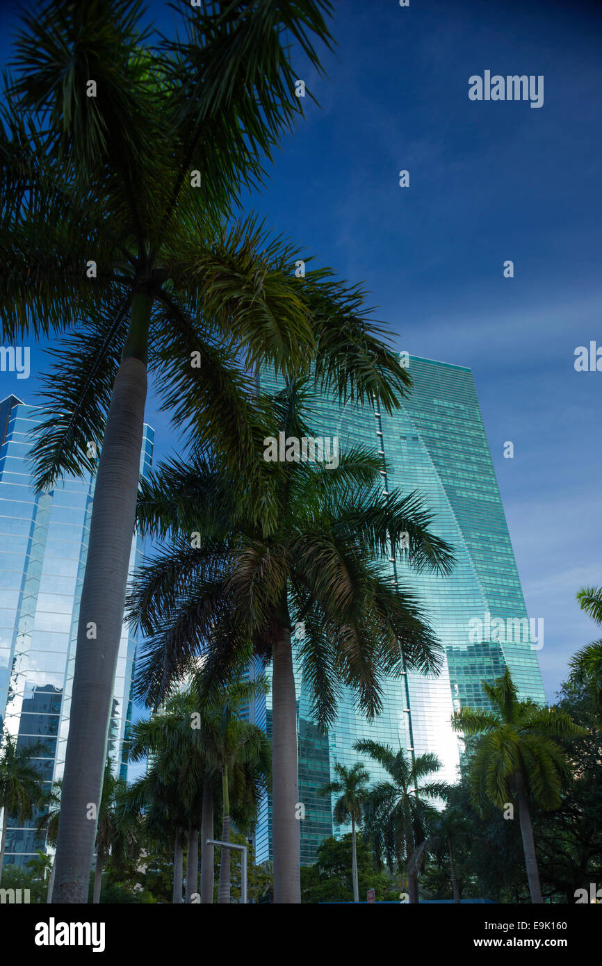 PALM TREES ESPIRITO SANTO ARCH PLAZA BUILDING (©KOHN PEDERSEN FOX 2004 ...