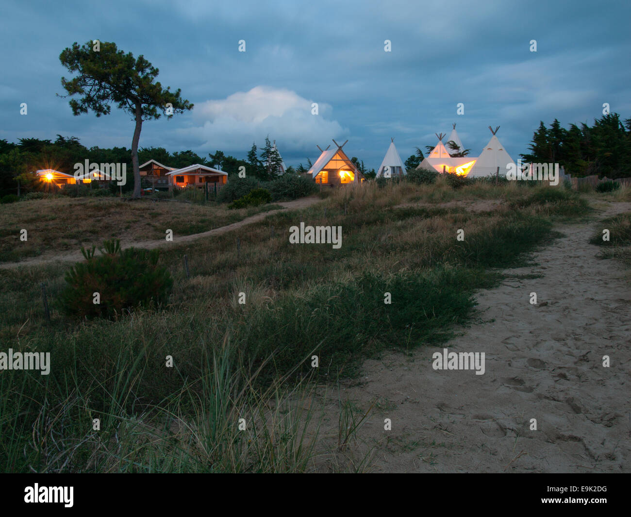 luxury campsite in coastal dunes amongst pines wood viewed over a field ...