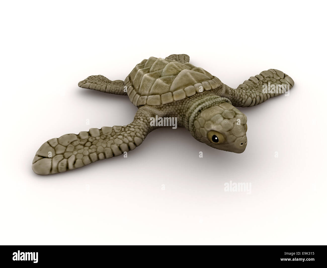 3d render of a baby sea turtle Stock Photo - Alamy