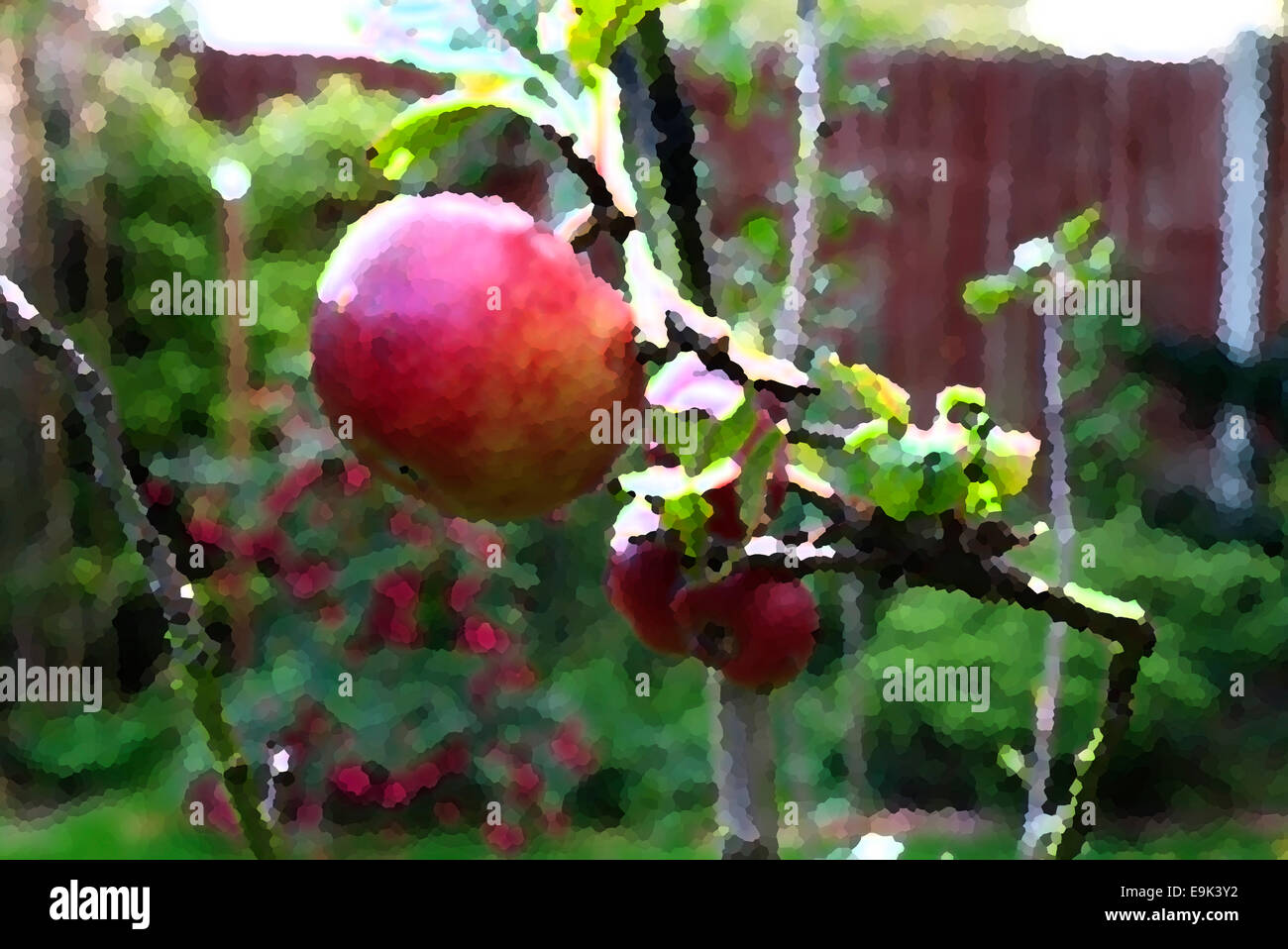Red devil apple hi-res stock photography and images - Alamy