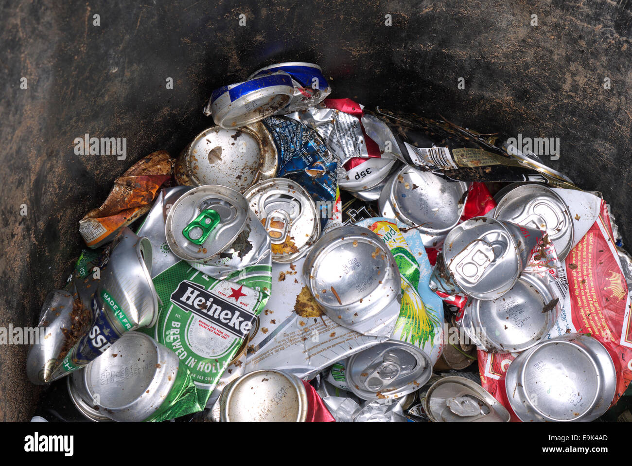 drinks cans in a bin waiting to be recycled Stock Photo - Alamy