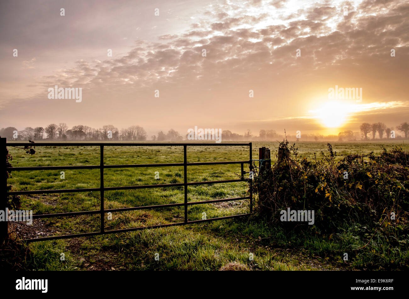 Derrylin County, Fermanagh, Northern Ireland. 29th October, 2014. A ...