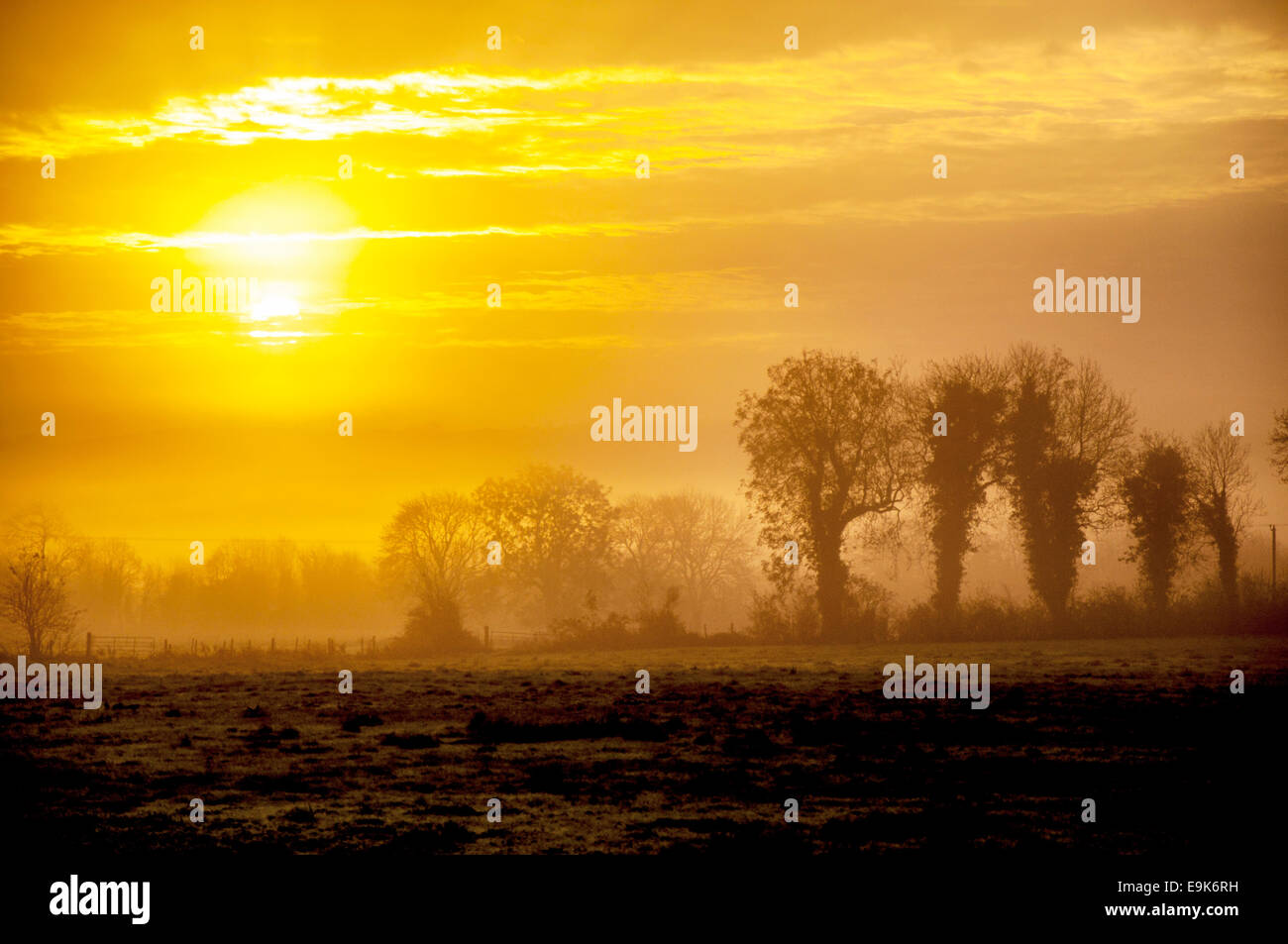 Derrylin County, Fermanagh, Northern Ireland. 29th October, 2014. A ...