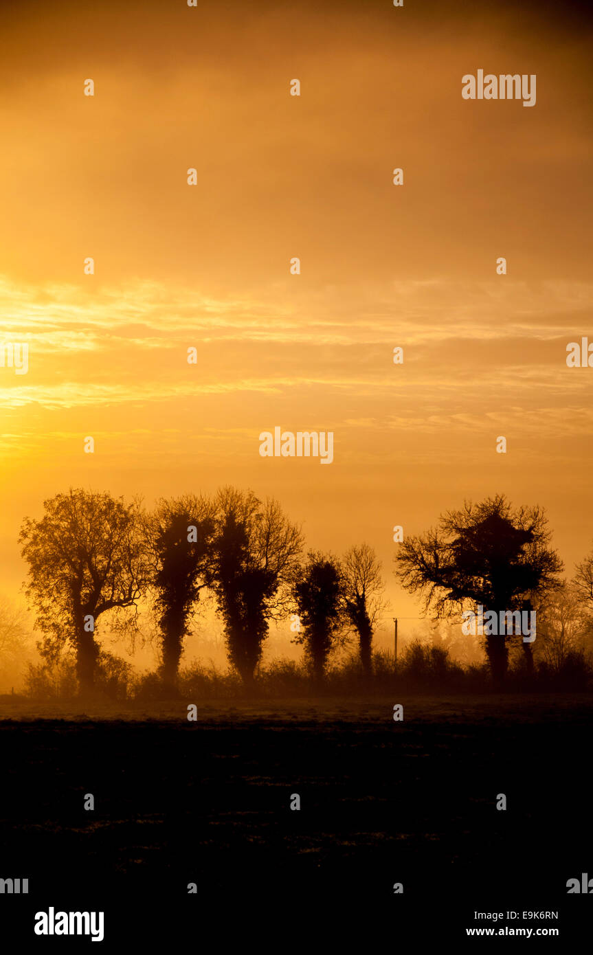 Derrylin High Resolution Stock Photography and Images - Alamy