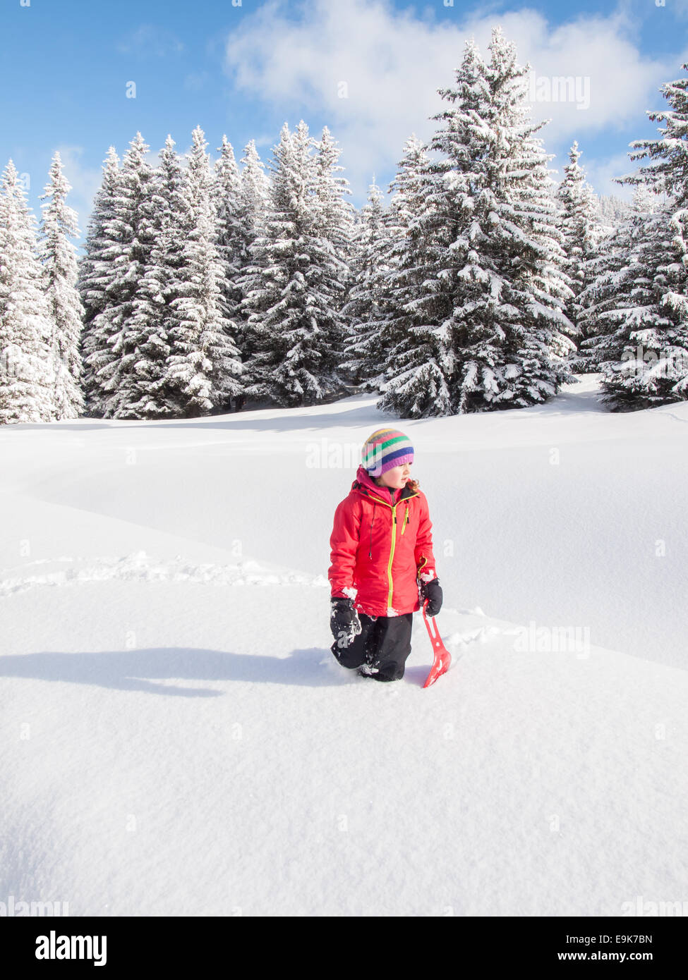 small girl walking in deep snow with sledge in hand and wooded winter ...