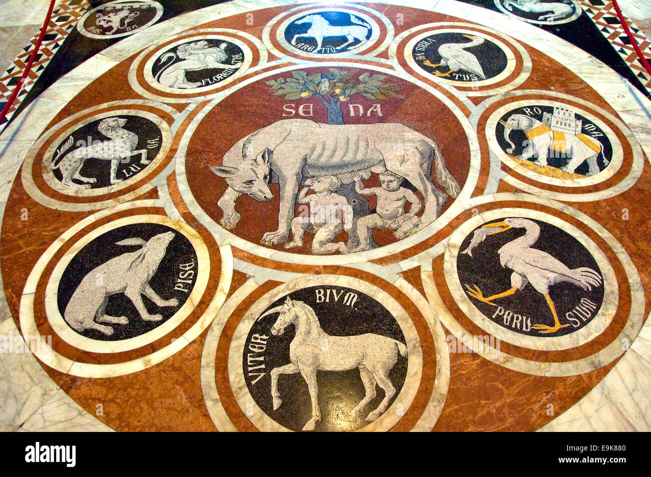 The She-Wolf of Siena Mosaic Floor, Siena Cathedral, Tuscany, Italy ...