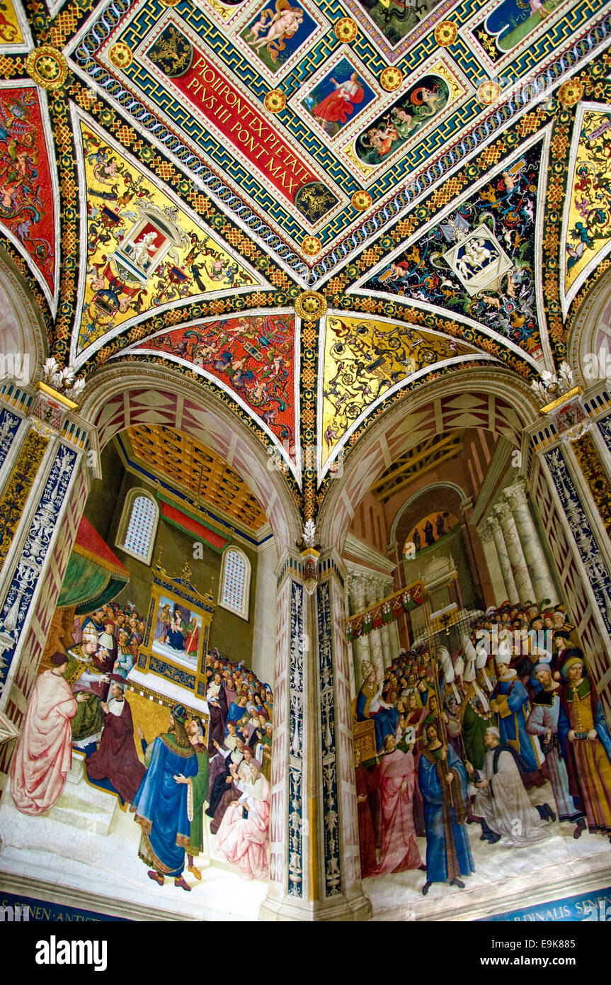 Piccolomini High Resolution Stock Photography and Images - Alamy