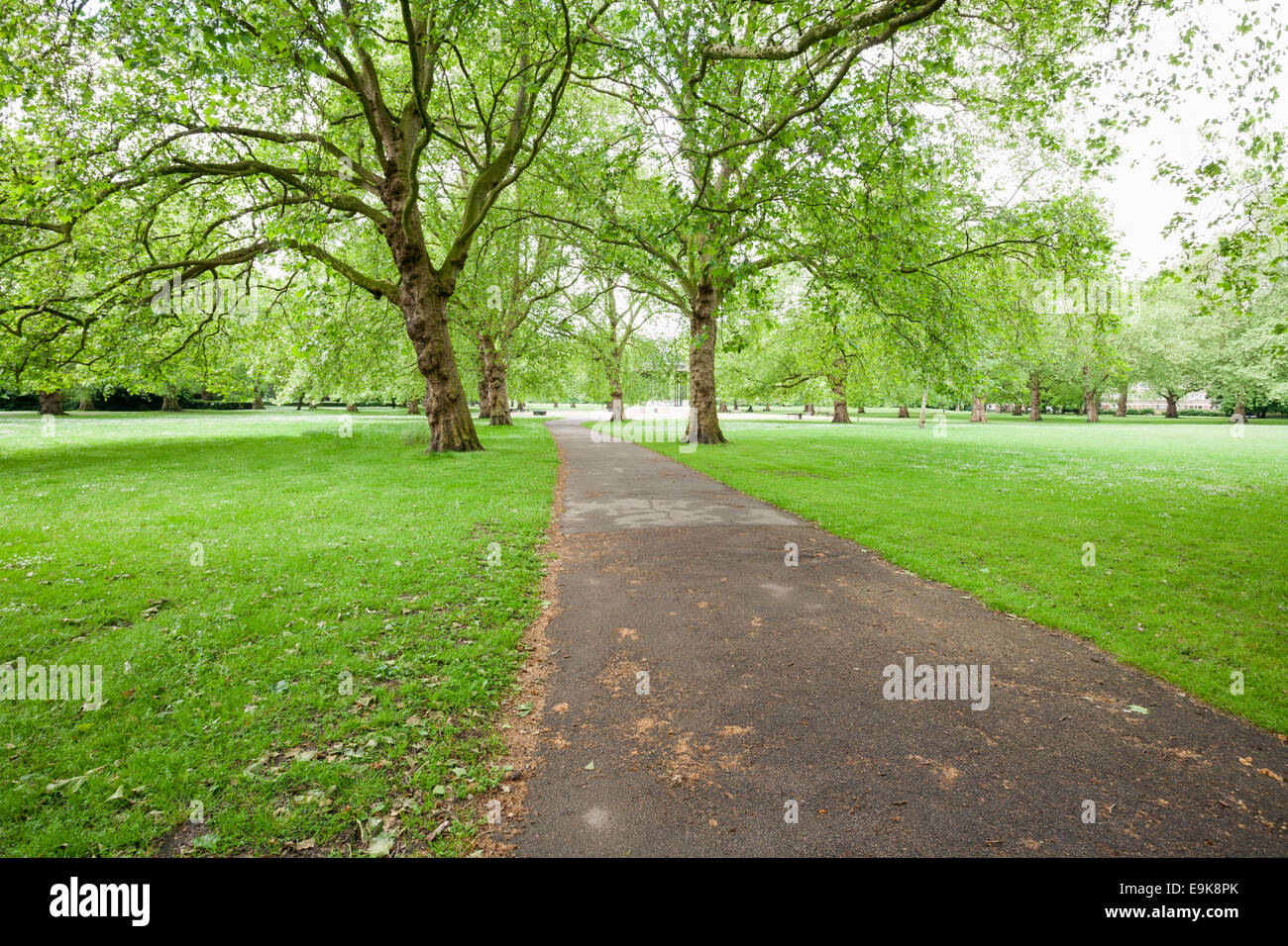 View of walkway and trees in park Stock Photo - Alamy