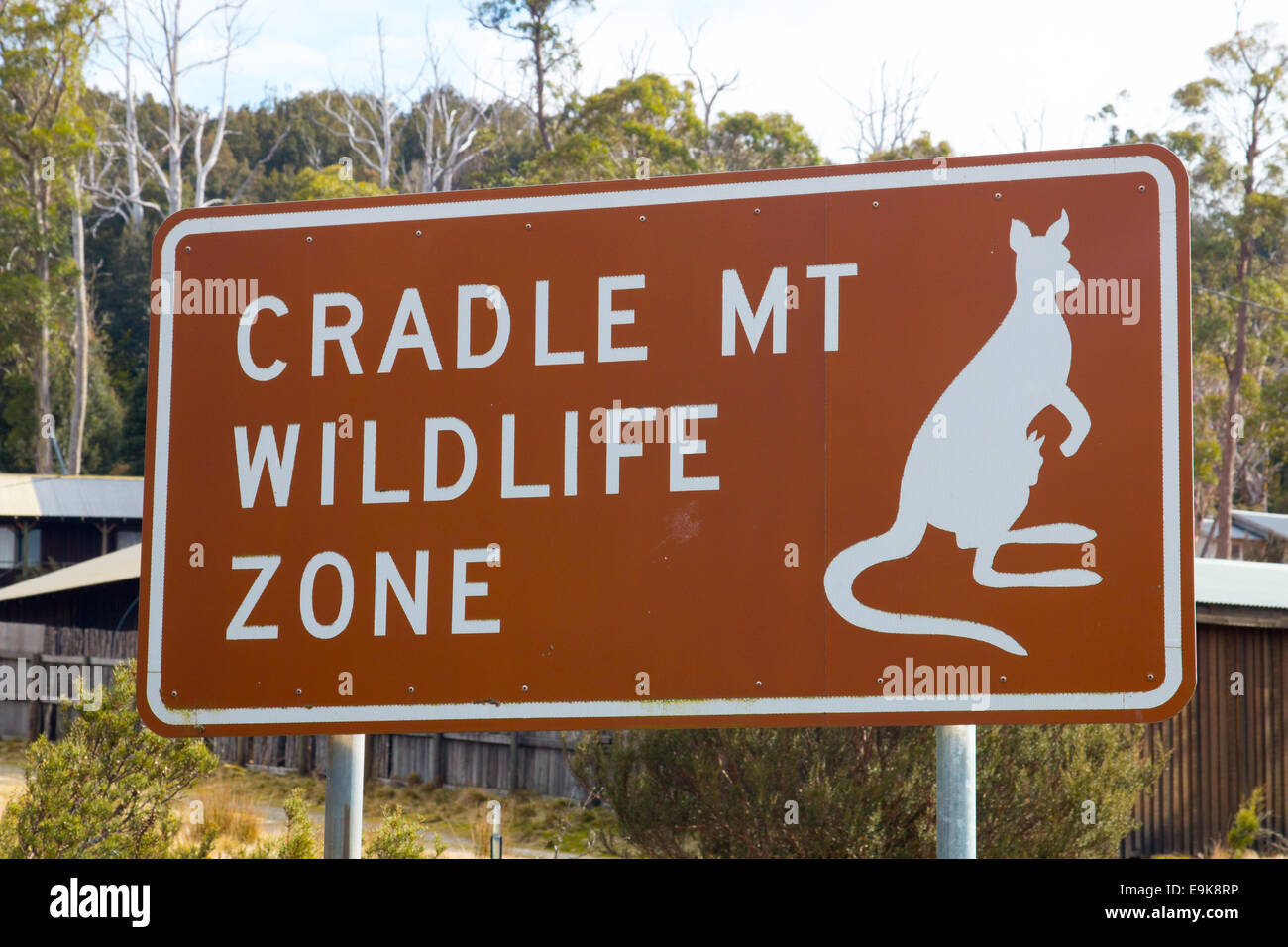 Cradle mountain wildlife zone hi-res stock photography and images - Alamy