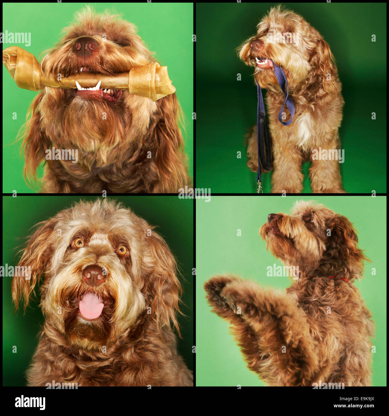 Various activities hi-res stock photography and images - Alamy