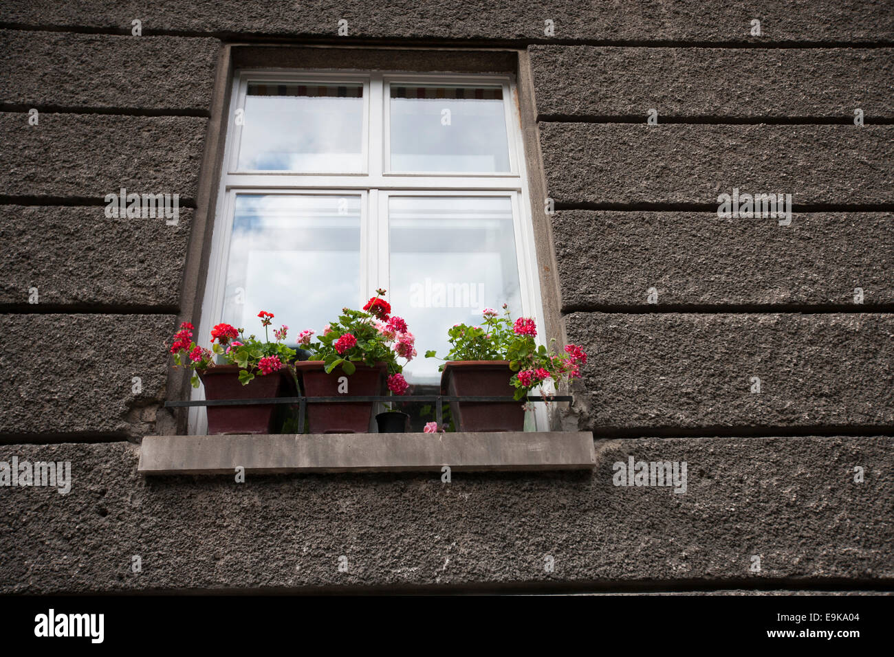 Flower pots at window sill Stock Photo - Alamy