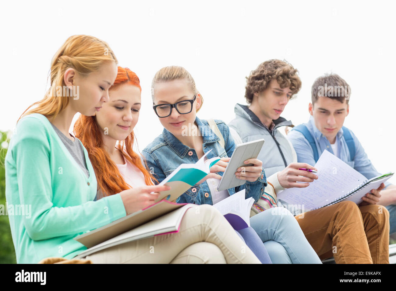 University students studying together in park Stock Photo - Alamy