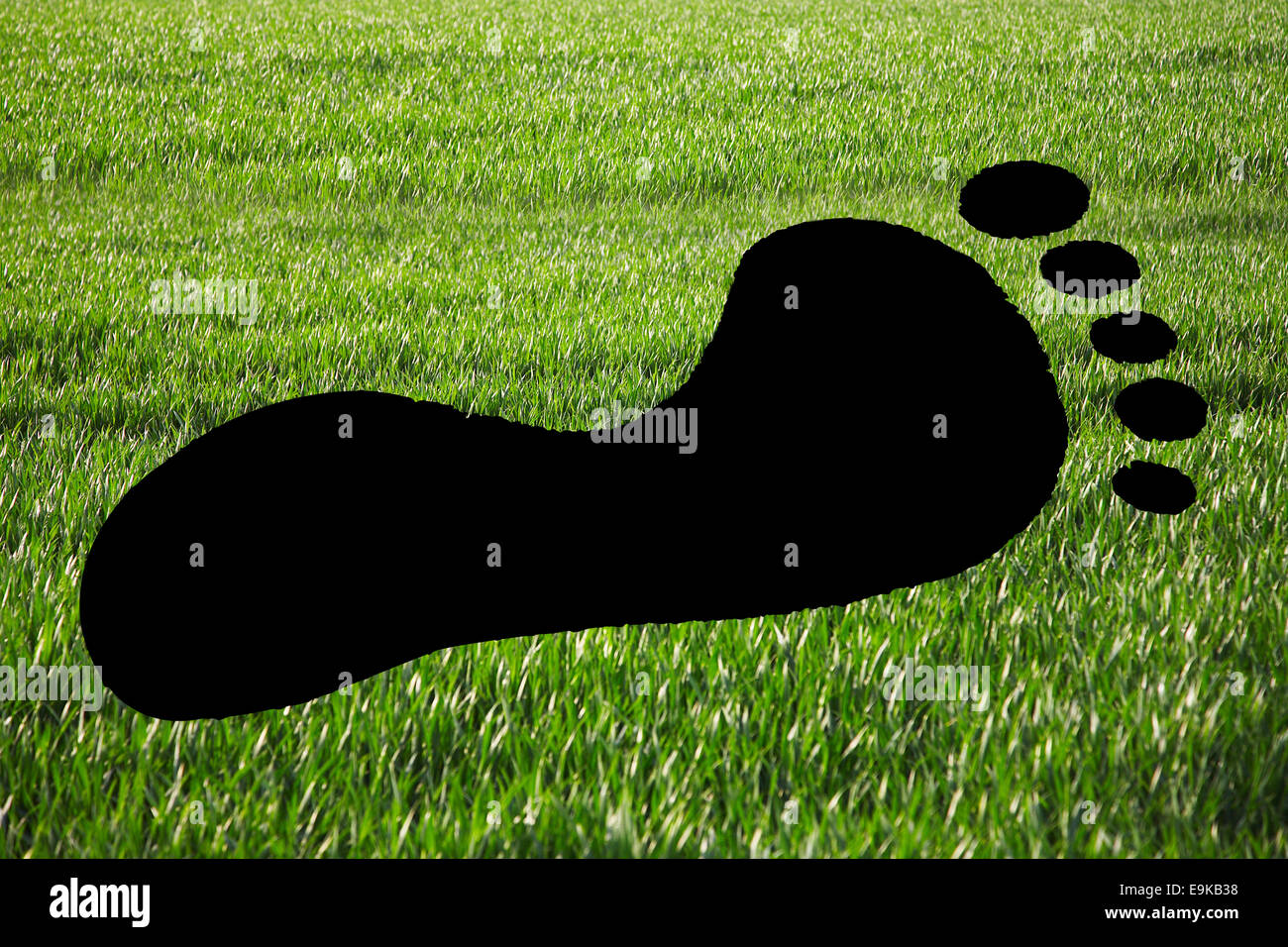 Close-up of footprint on grassy landscape Stock Photo - Alamy