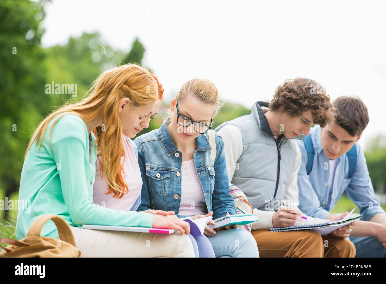 University students studying together in park Stock Photo - Alamy University students studying together in park Stock Photo - Alamy