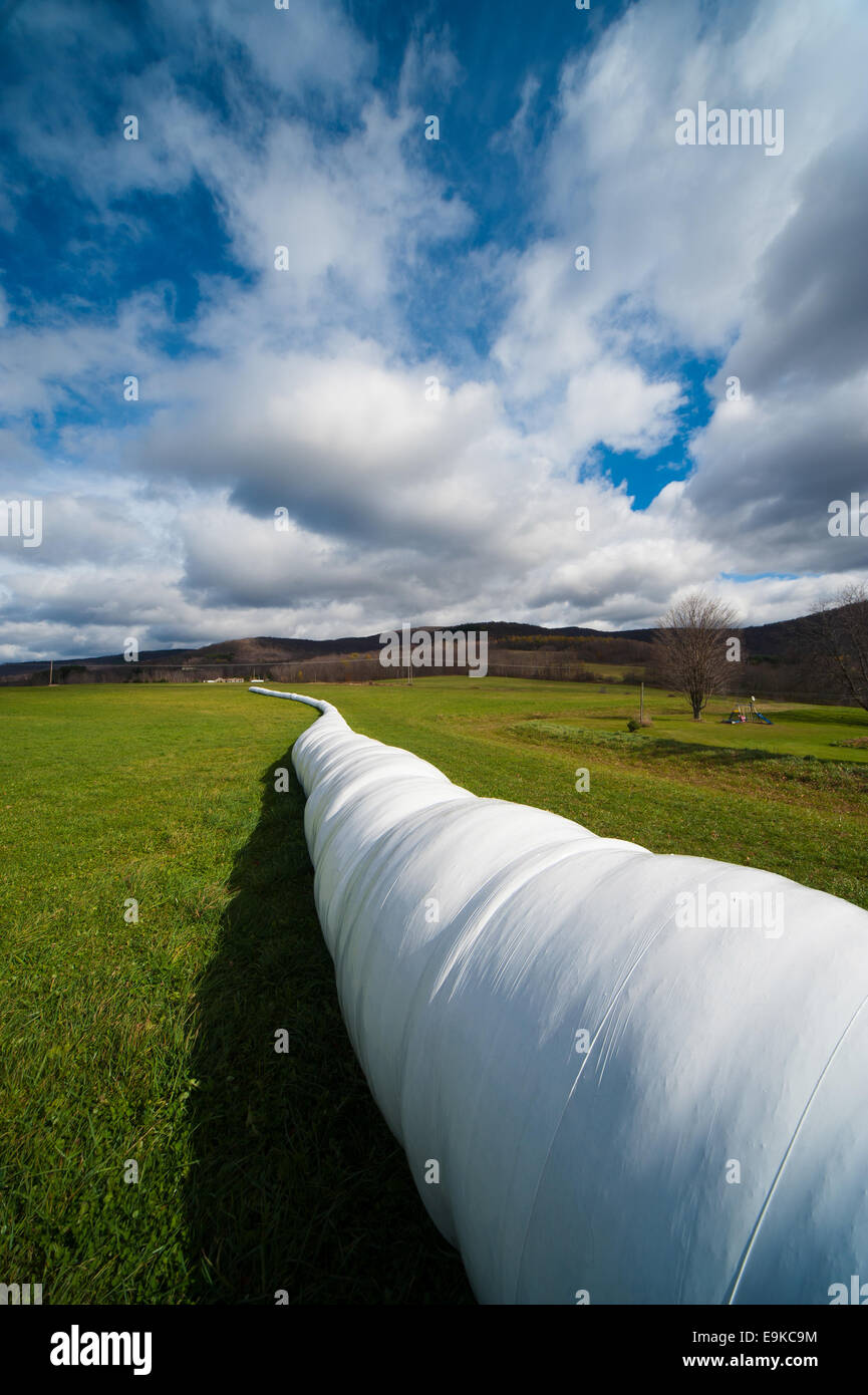 Silage tube in field Stock Photo - Alamy