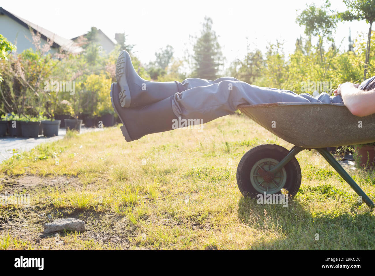 Low section of man relaxing in wheelbarrow at garden Stock Photo - Alamy