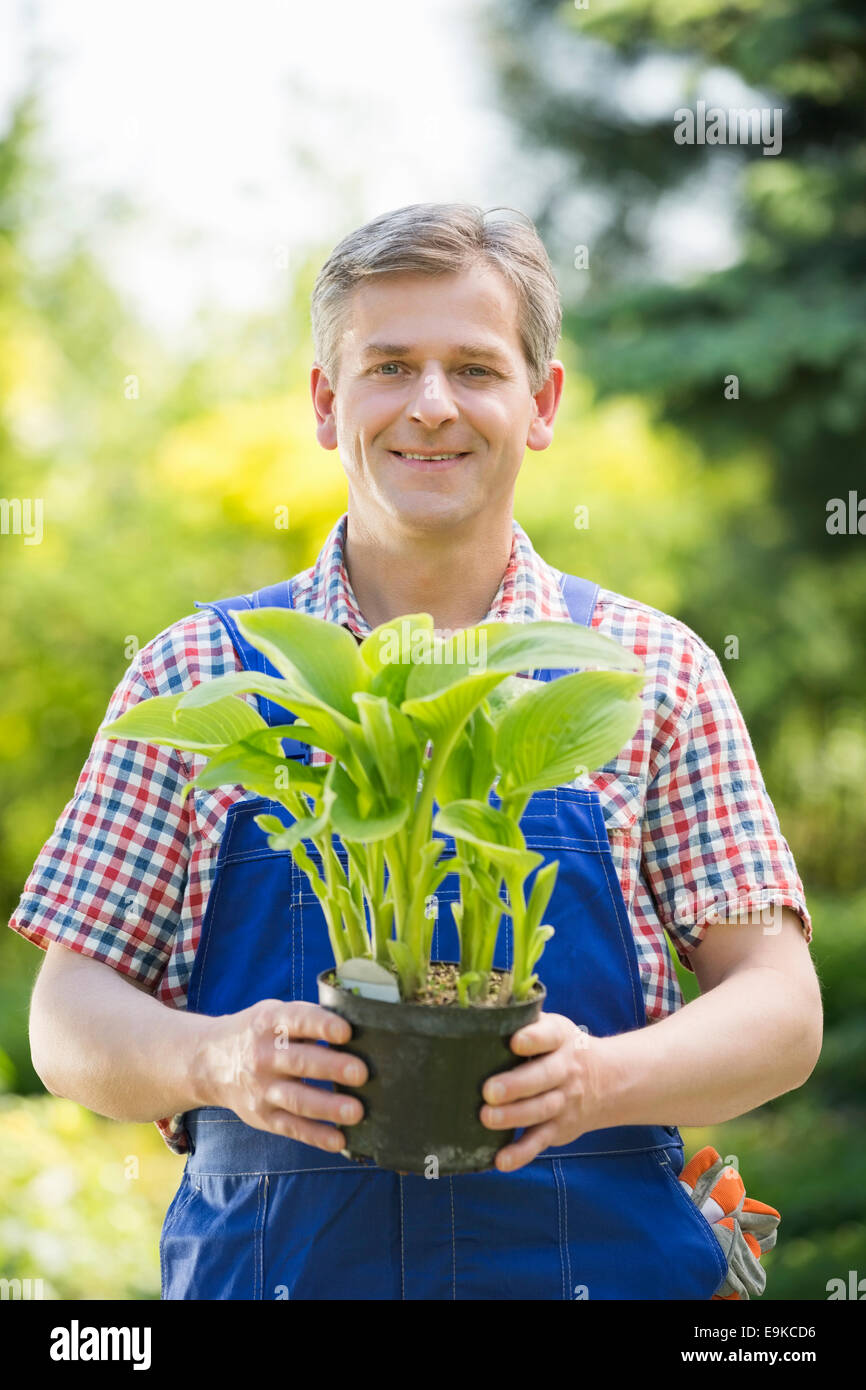 Portrait of happy gardener holding potted plant at nursery Stock Photo ...