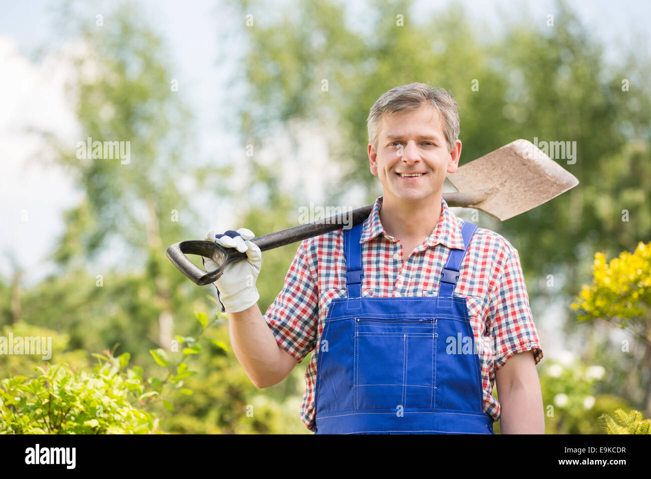 Portrait of happy man carrying spade on shoulder in plant nursery Stock ...