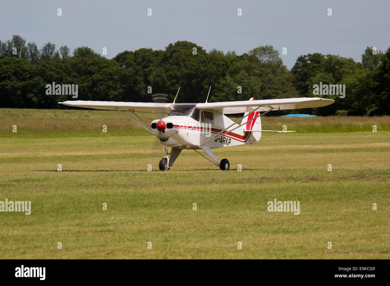 Piper colt hi-res stock photography and images - Alamy