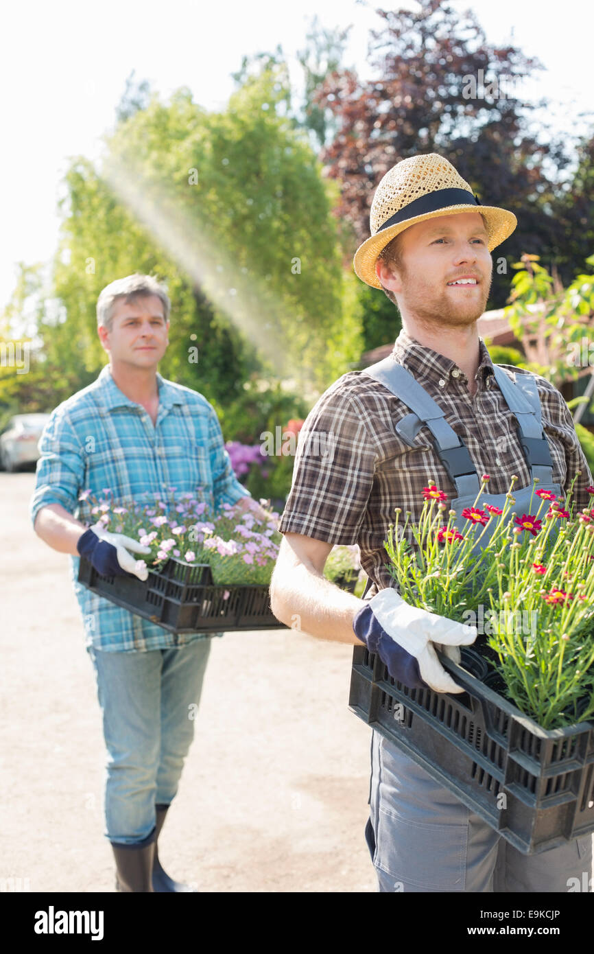 Gardeners carrying flower pots in crates at plant nursery Stock Photo ...