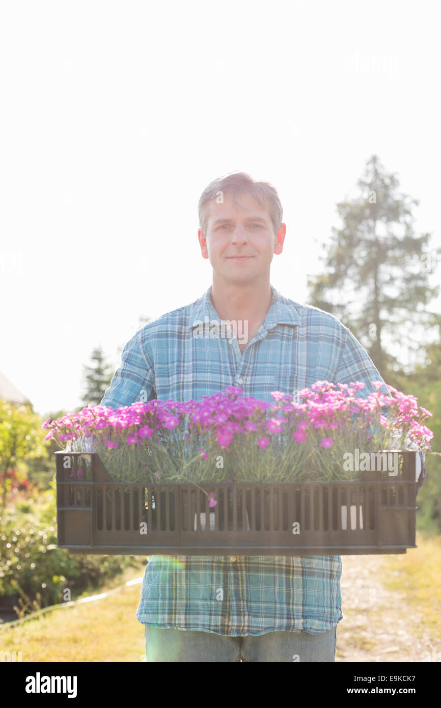 Portrait of man carrying crate with flower pots in garden Stock Photo ...