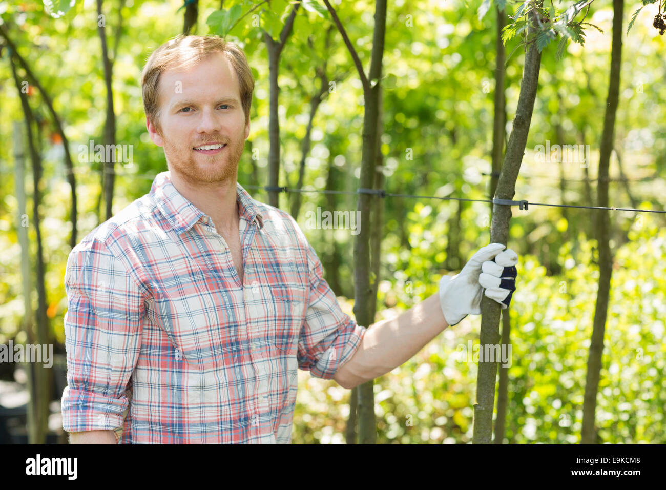 Standing plant hi-res stock photography and images - Alamy