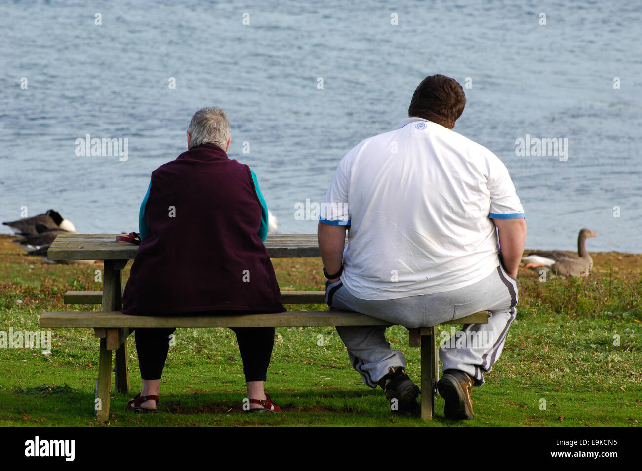 Large overweight man sitting on a bench Stock Photo - Alamy