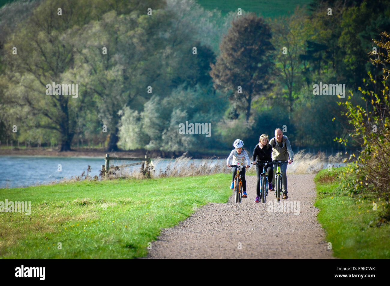 Family cycling in the countryside England UK Stock Photo - Alamy