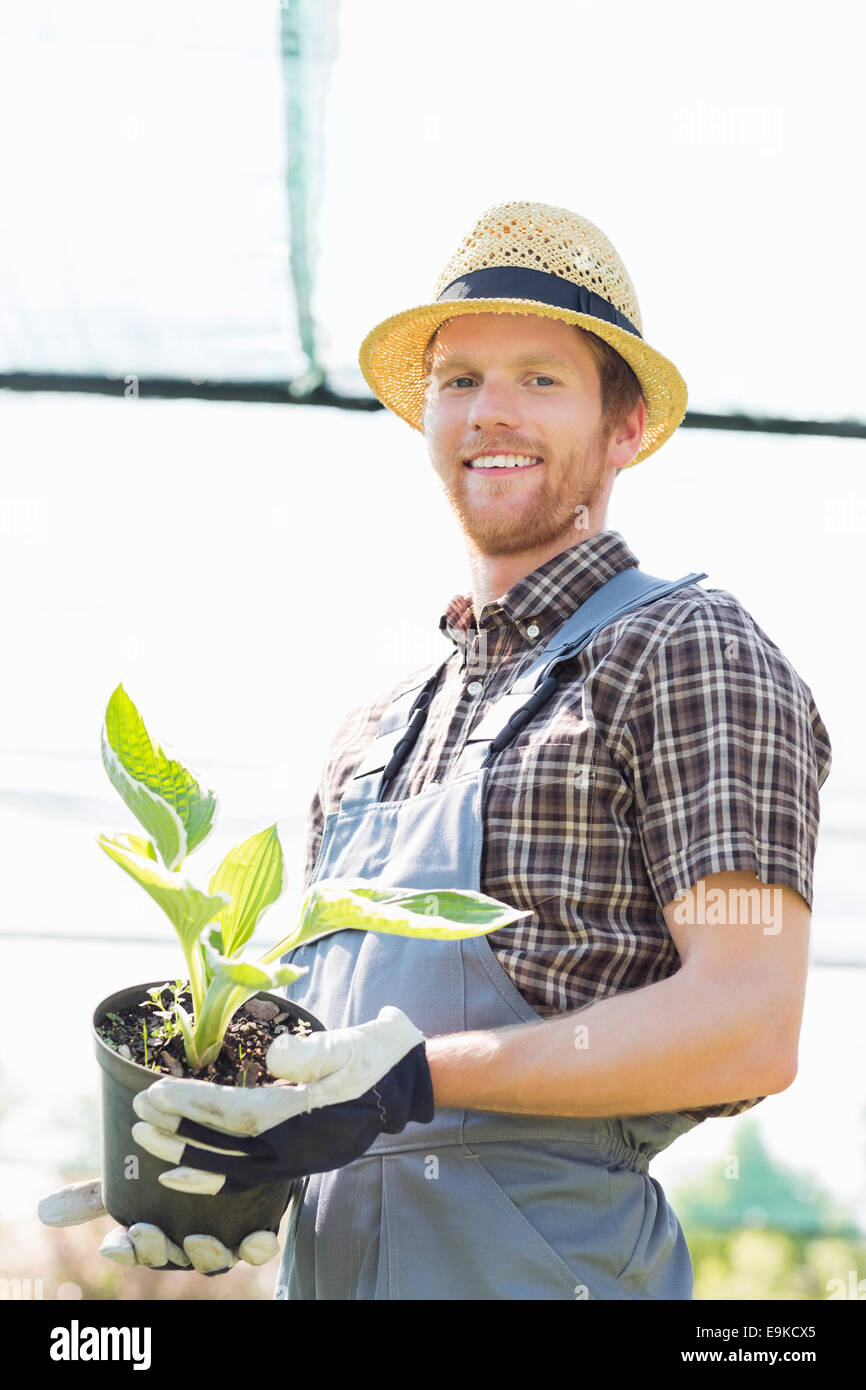 Portrait of happy gardener holding potted plant at greenhouse Stock ...