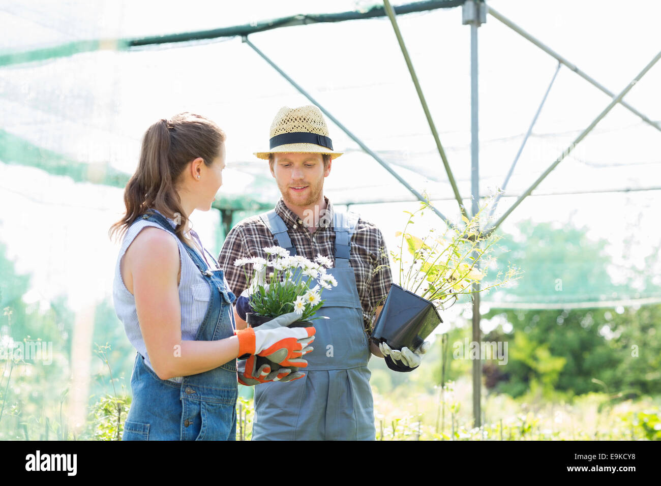 Over flower hi-res stock photography and images - Alamy