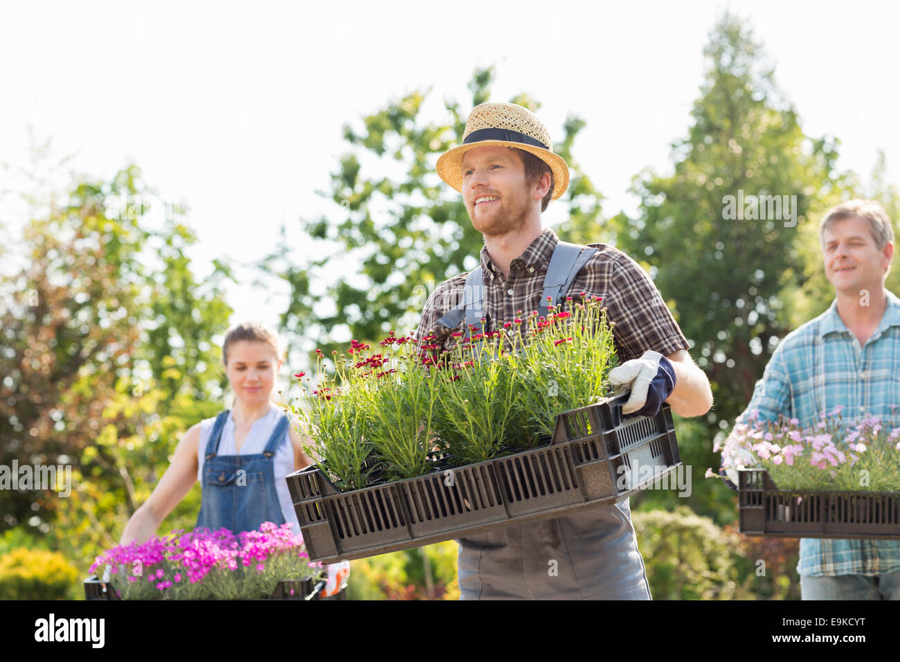 Gardeners carrying flower pots in crates at garden Stock Photo - Alamy