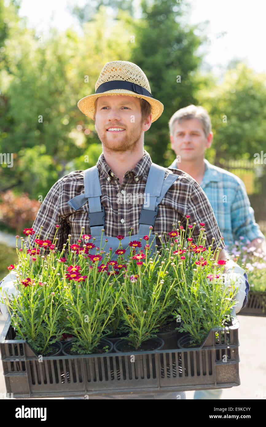 Male gardeners carrying flower pots in crates at plant nursery Stock ...