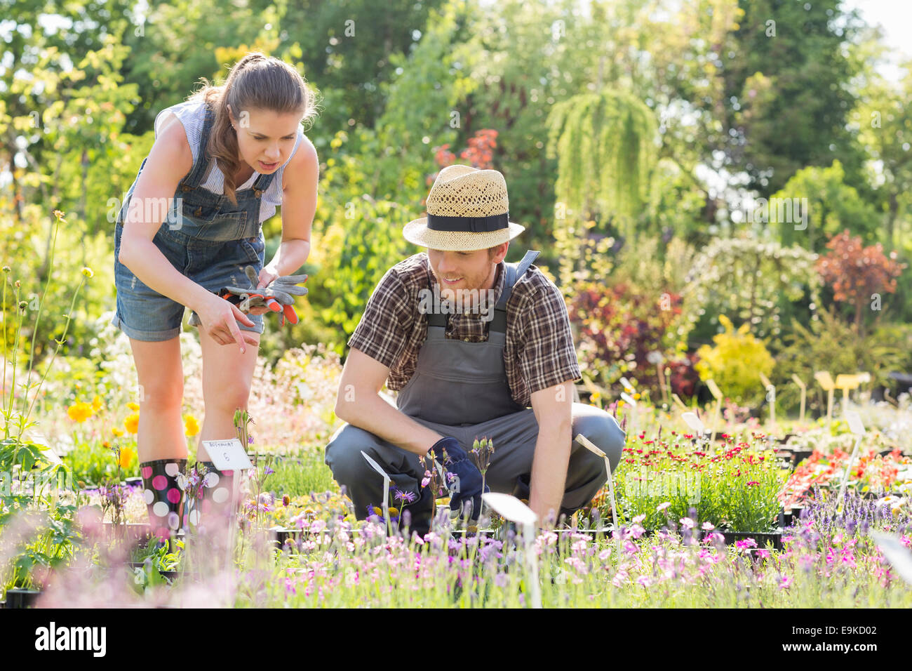 Group gardeners hi-res stock photography and images - Alamy