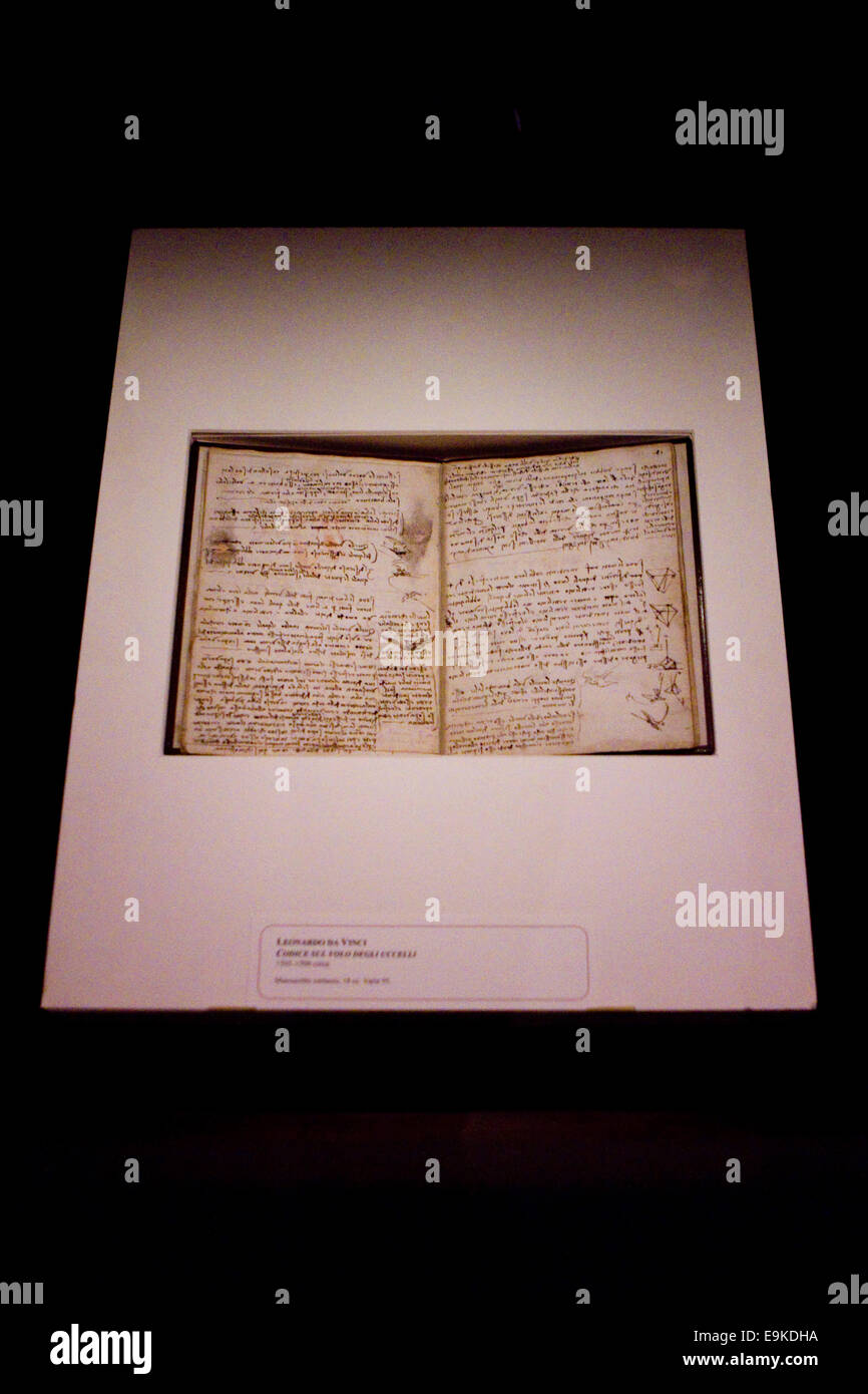 Da vinci codex hi-res stock photography and images - Alamy