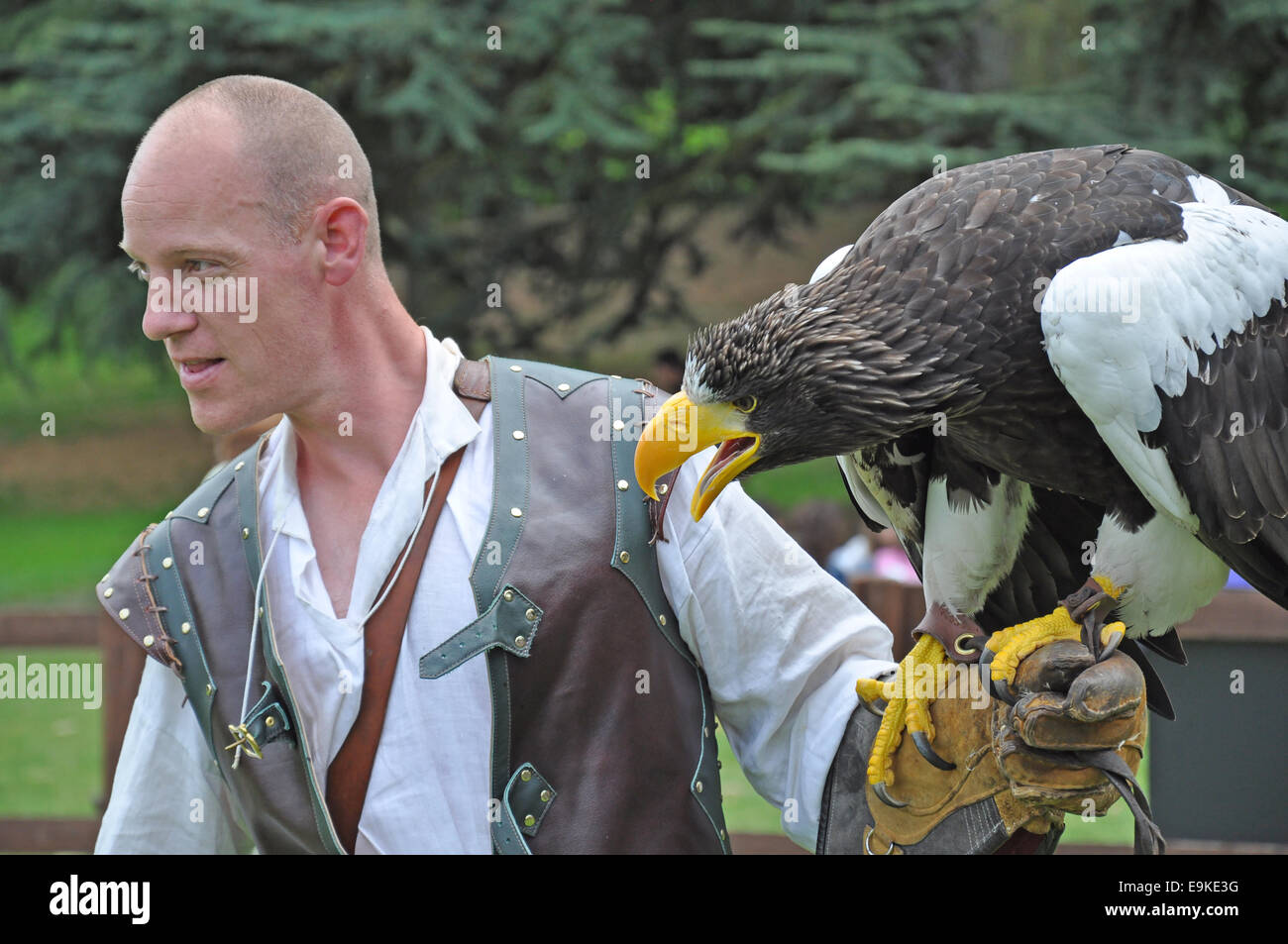 A giant steller's sea eagle and trainer/handler at Warwick Castle ...