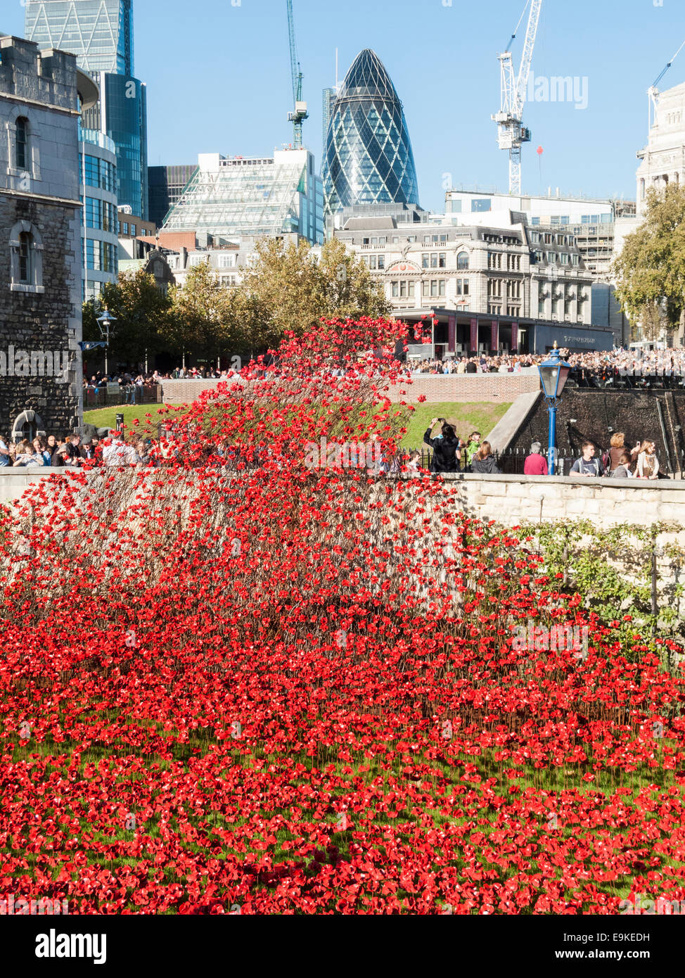 Red ceramic poppies at The Tower Of London Remembers exhibition, Blood ...