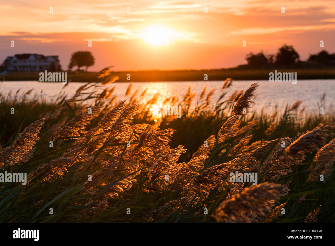 Sunset at Knapps Narrows Marina, Tilghman Maryland USA Stock Photo - Alamy