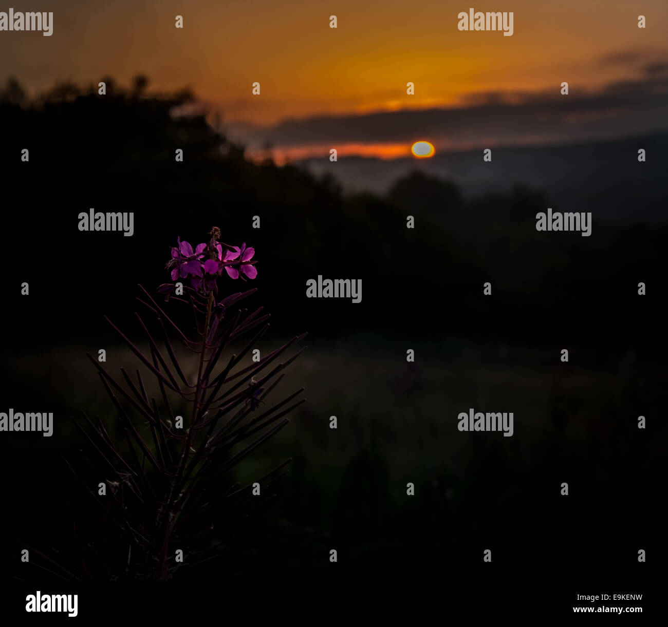 Torrington commons hi-res stock photography and images - Alamy