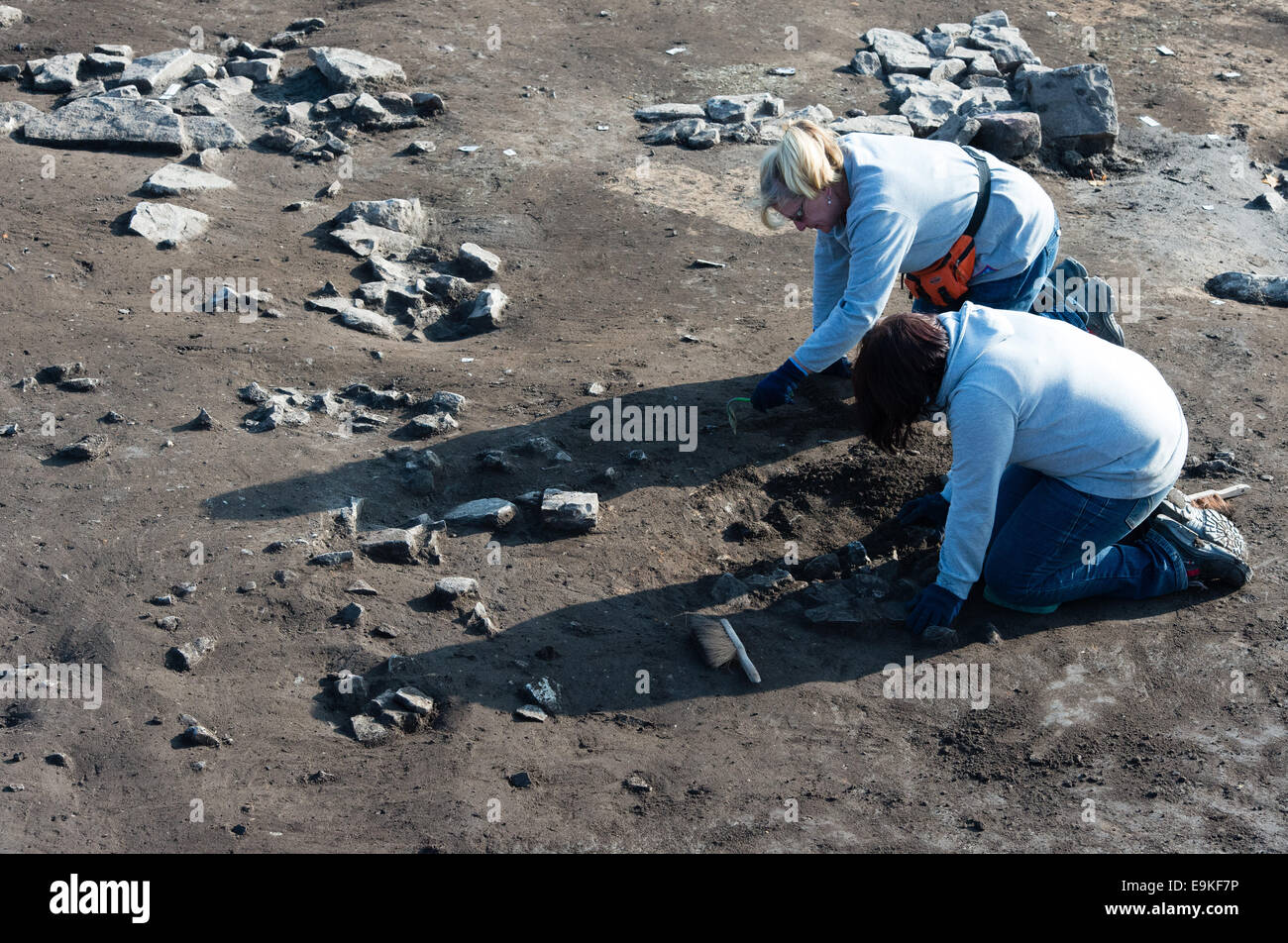Archaeologists from the State Museum for Prehistory in Halle/Salle ...