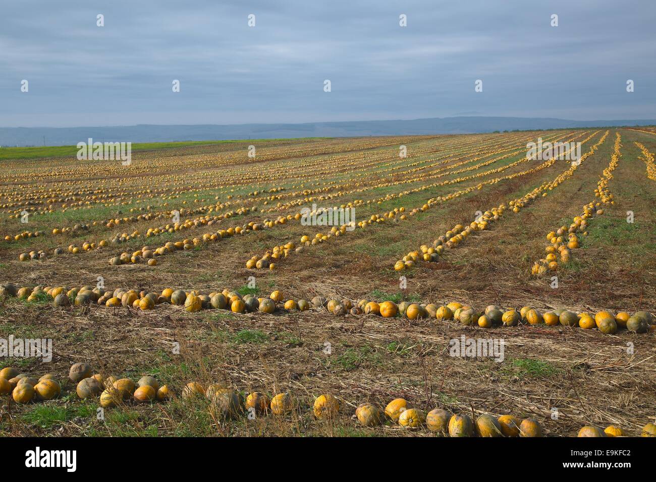Ield landscape hi-res stock photography and images - Alamy