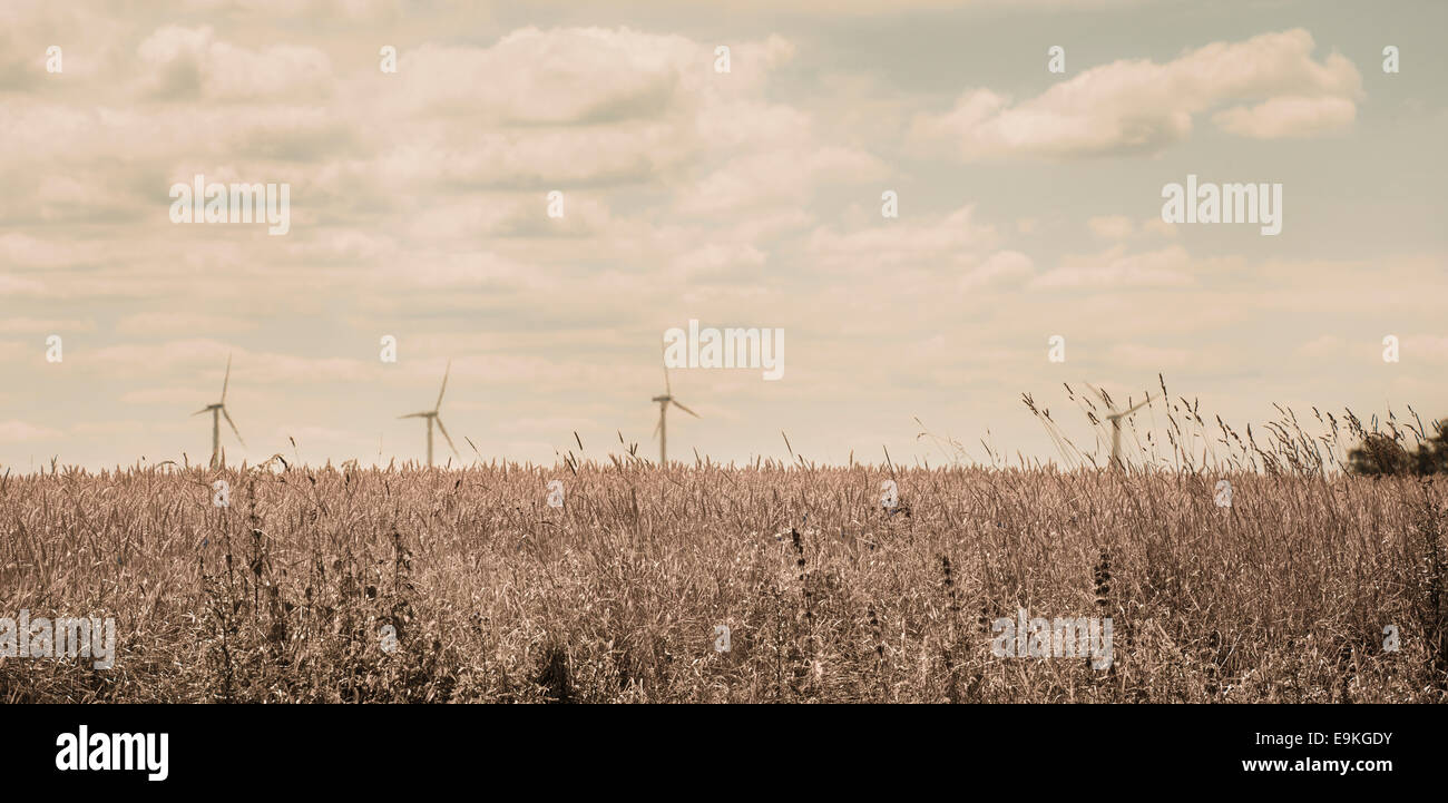 Landscape windmill field hi-res stock photography and images - Alamy